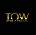 Temple of Wrestling (Melnichnaya Street No:4), spor kulüpleri  Saint‑Petersburg'dan