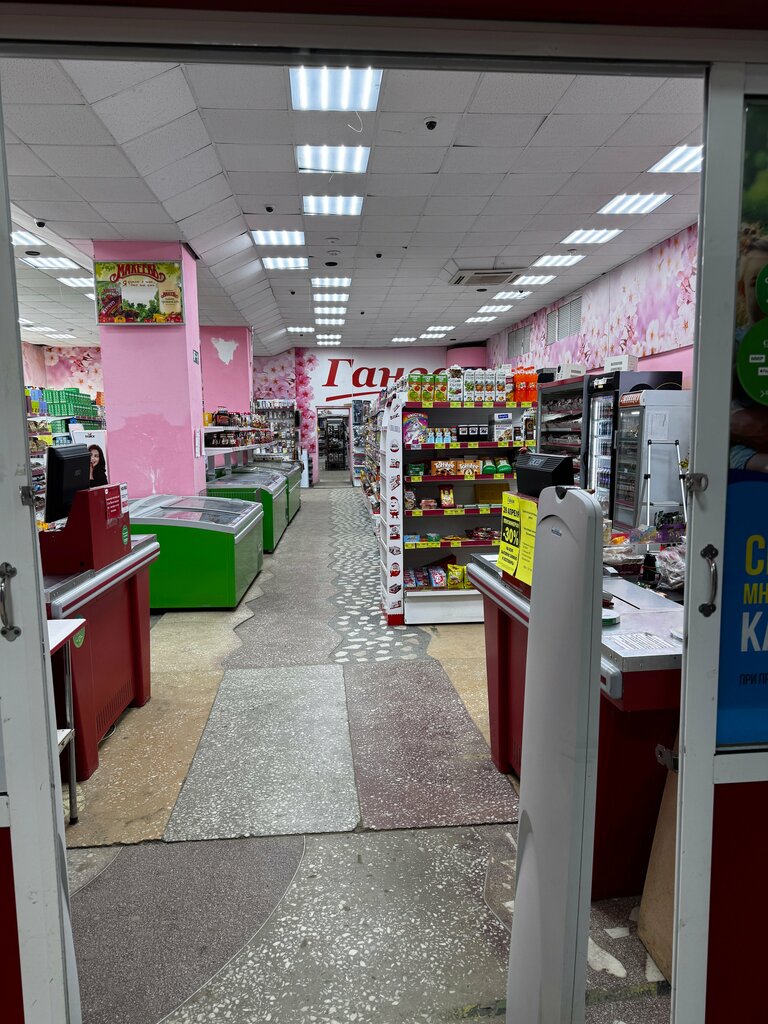 Ev temizlik ürünleri Ganza, Saha Cumhuriyeti (Yakutistan), foto