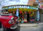 Veterinaria Shadow (Department of La Paz, Provincia Murillo, El Alto, Avenida Satélite, 1777), veteriner klinikleri  Bolivya'dan