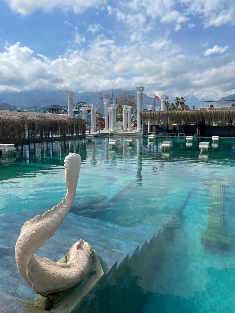 Seyahat acenteleri AlohaCommunity, Voronej, foto