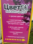 ЦветОК (vulica Lienina No:128), çiçekçiler  Slutsk'tan