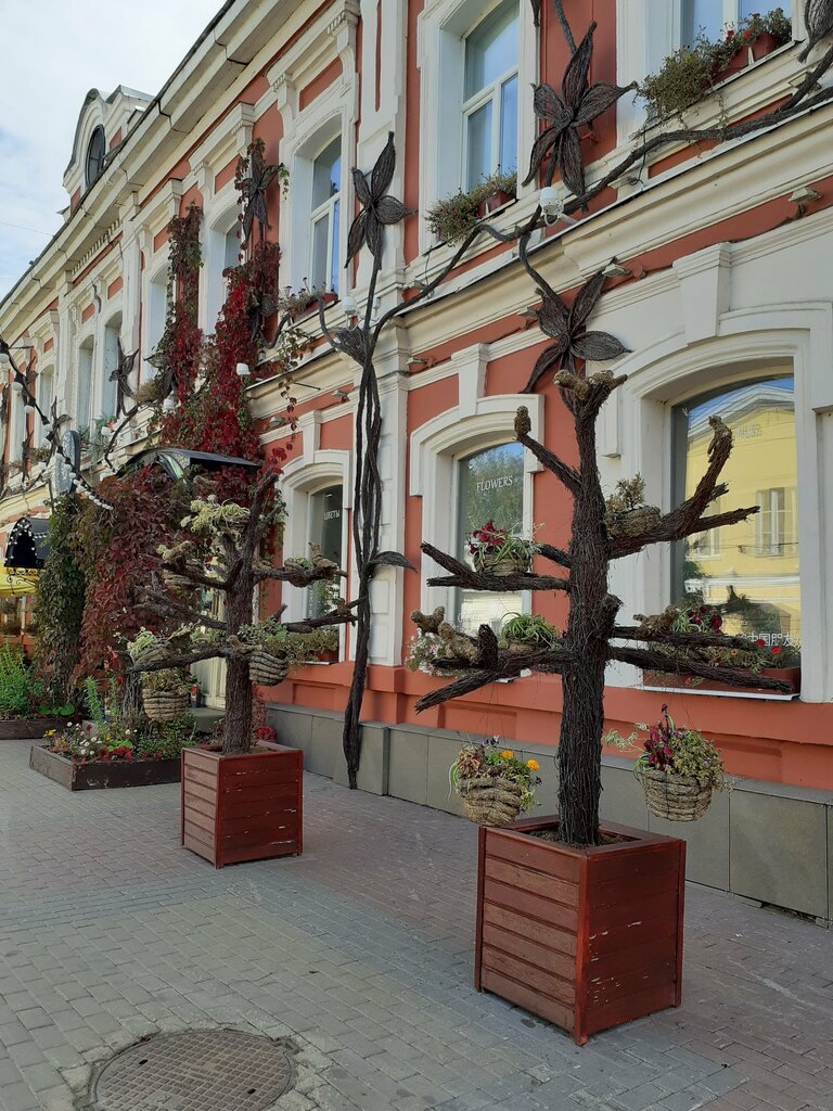 Turistik yerler Дом городского головы В. А. Соболева, Nijni Novgorod, foto