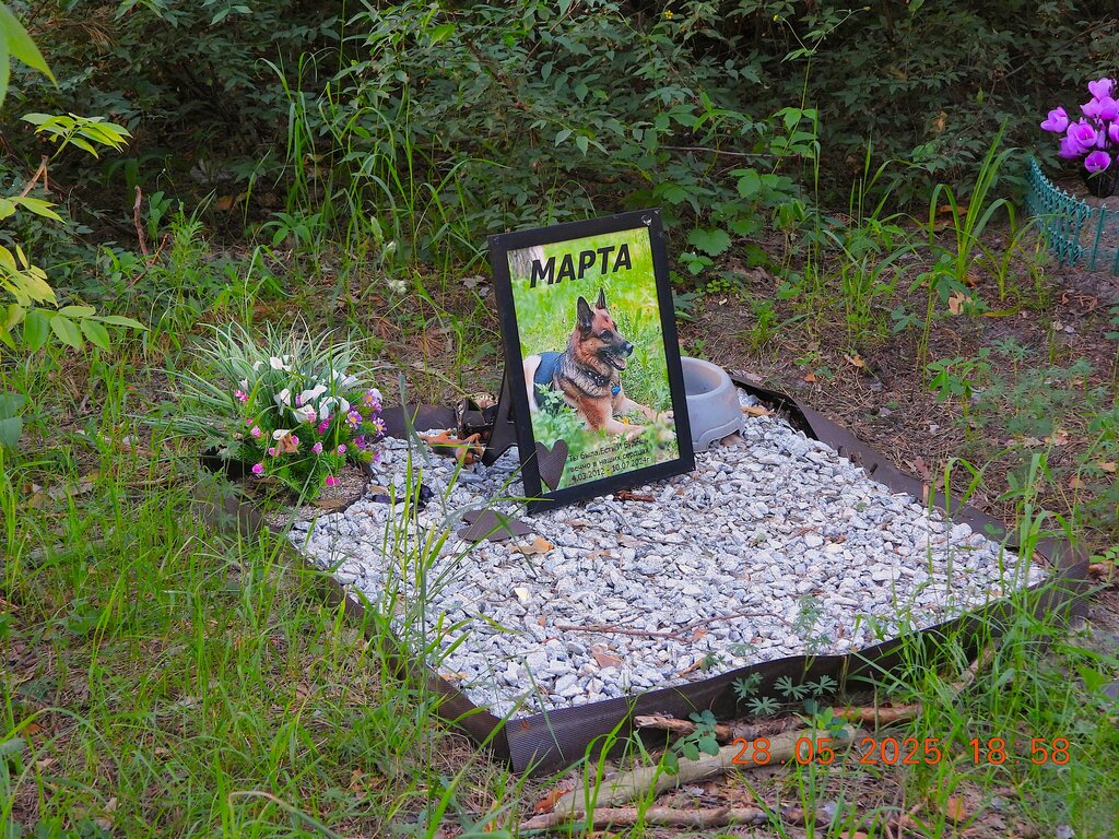 Mezarlıklar кладбище домашних животных, Zarechny, foto