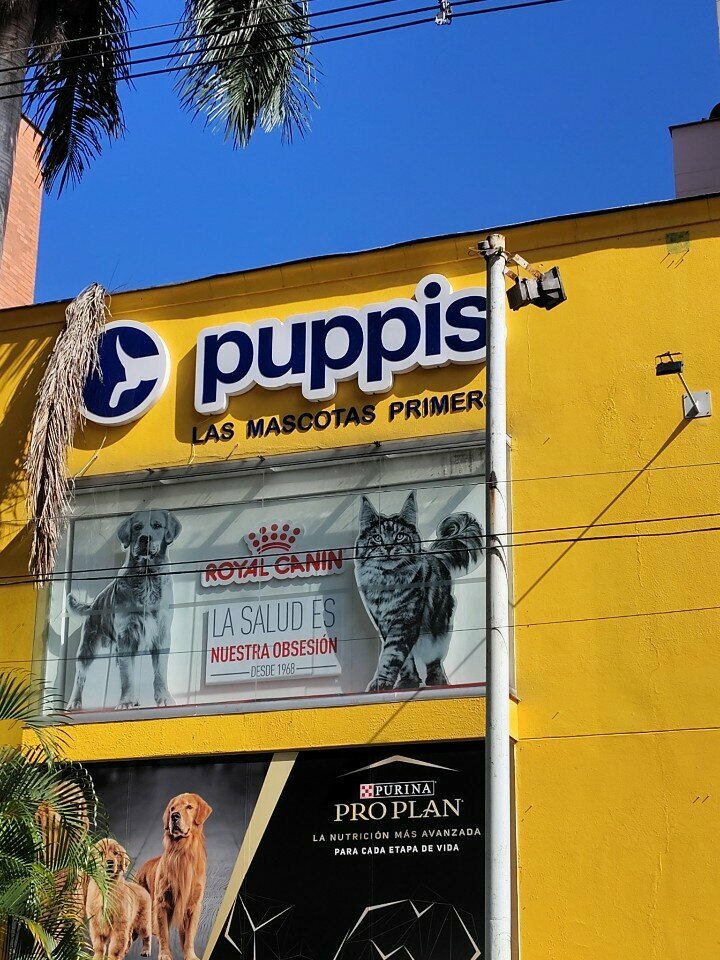 Eczaneler Puppis - Laureles, Medellin, foto