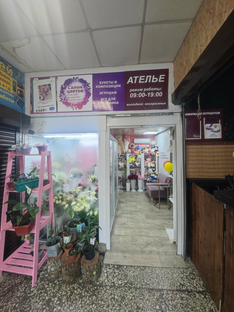 Kıyafet tamiri В Горох, Krasnodarski krayı, foto