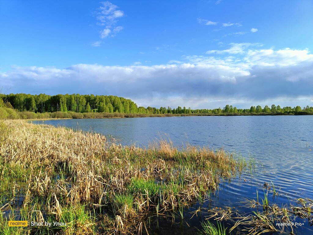 Doğa koruma alanı государственный природный заказник федерального значения Муромский, Vladimirskaya oblastı, foto
