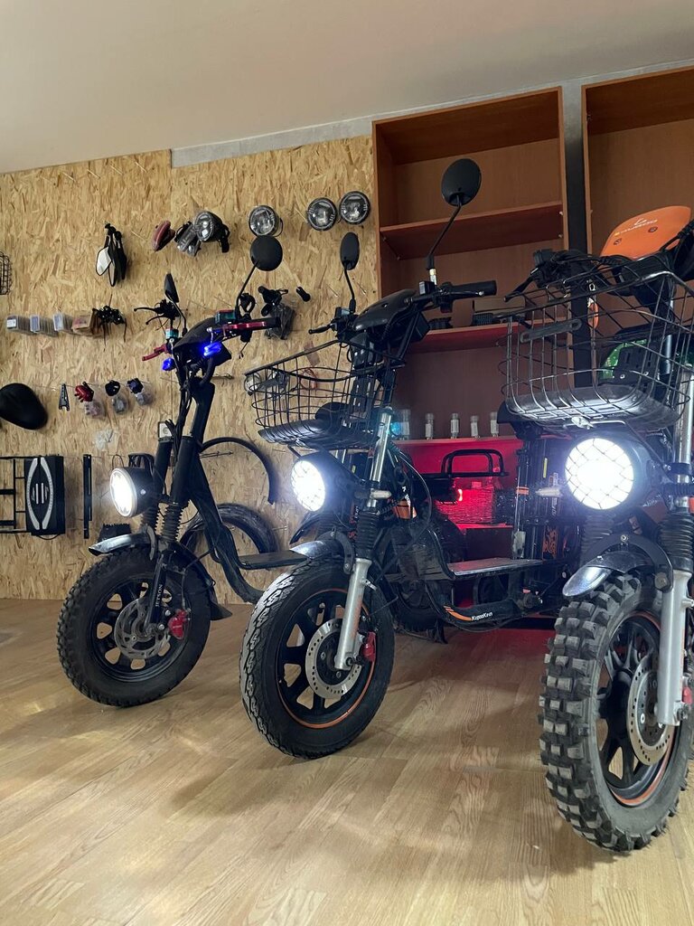 Kişisel elektrikli araç tamiri Колибри, Rostov‑na‑Donu, foto