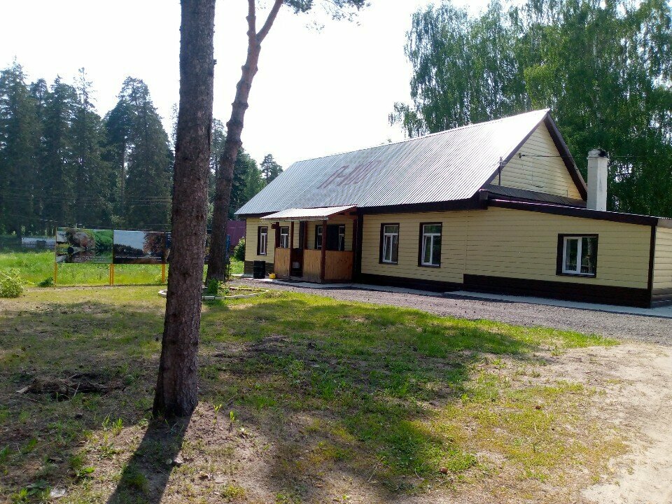 Orman işleri Zelenodolskoye uchastkovoye lesnichestvo, Zelenodolsk (Yeşel Üzen), foto