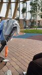 Residential Complex Izet (Buqar Jyraý kóshesі No:31), konut blokları  Astana'dan