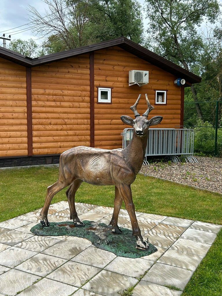 Turistik yerler Олень, Aleksandrov, foto