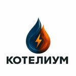 Kotelium (ulitsa Svobody No:46), isıtma sistemlerinin kurulumu ve bakımı  Krasnoye Selo'dan