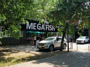 Megafish (Abay Avenue No:30А, Almaty), kafe  Almatı'dan