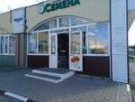 Мастерская Тарасова (Pobedy Square No:6к2), çanta ve valiz tadilatı  Lipetsk'ten
