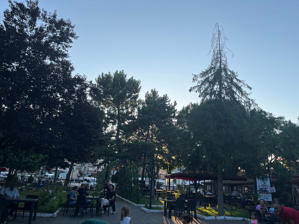 Kafe Serdivan Aile Çay Bahçesi, Serdivan, foto