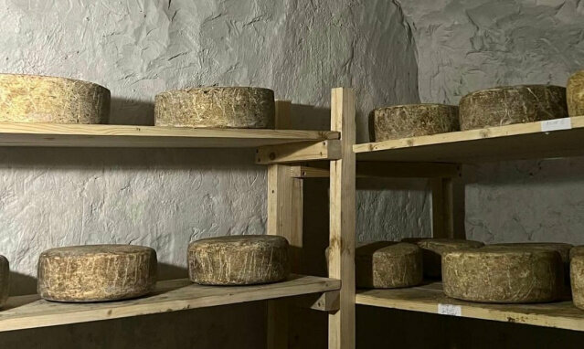 Peynirci Борисовский сыр, Belgorod, foto