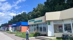 Источник здоровья (Oktyabrskaya ulitsa No:7Ж, rabochiy posyolok Krasnozyorskoye), eczaneler  Novosibirskaya oblastından