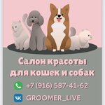 Pet Grooming Salon (Beskudnikovsky Boulevard No:24к1), evcil hayvan kuaförleri  Moskova'dan