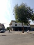 Driving school (Sergeli ko‘chasi No:55), sürücü kursları