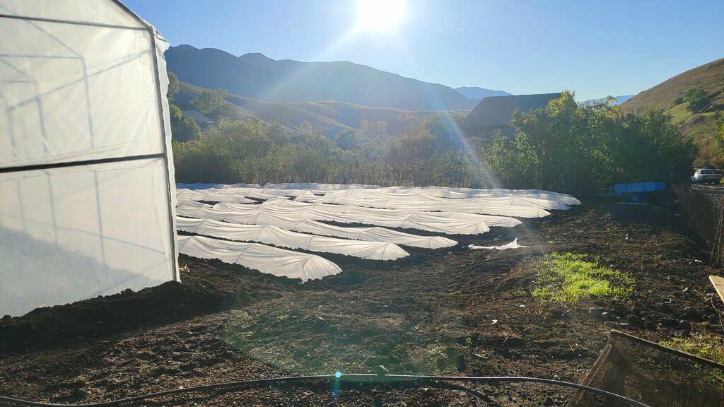 Otel Aznvadzor Eco Camp, Lori, foto