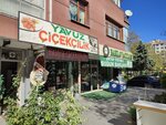 Yavuz Çiçekçilik (Konya, Selçuklu, Nişantaş Mah., Dr.M.Hulusi Baybal Cad., 33I), çiçekçiler  Konya'dan