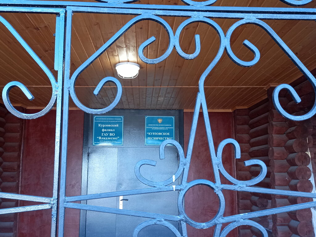 Orman işleri Курловское Лесничество, Kurlovo, foto