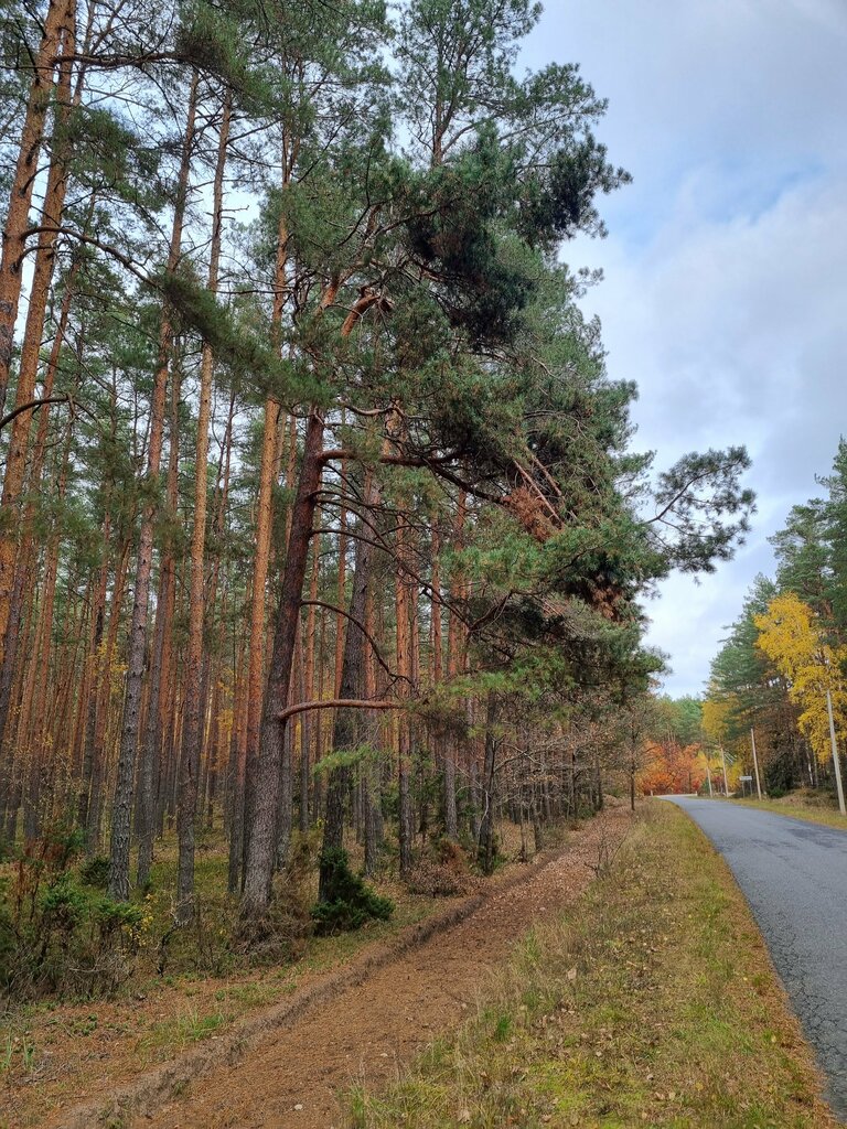 Geçiş noktaları, güvenlik kontrol alanı КПП Пашуки, Brestskaya oblastı, foto