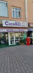 Lotus Çiçekçilik (Konya, Selçuklu, Vatan Cad., 39A), çiçekçiler  Konya'dan