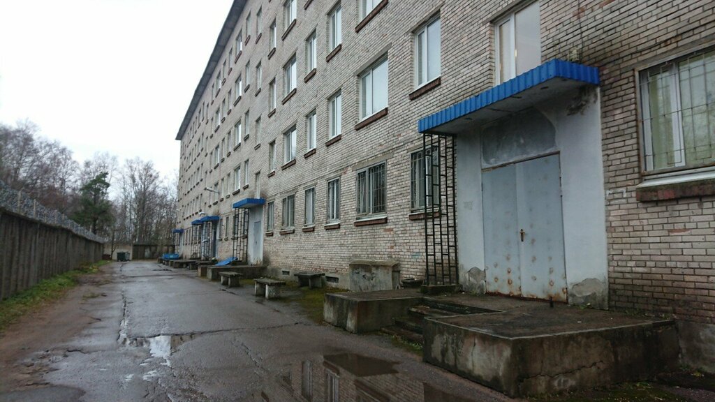 Yurtlar Общежитие ГОИ, Sosnoviy Bor, foto