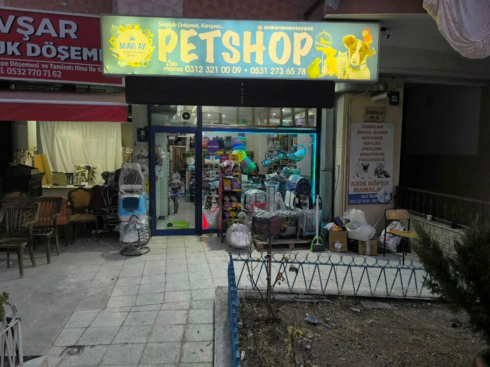 Petshop Mavi Ay Petshop, Ankara, foto