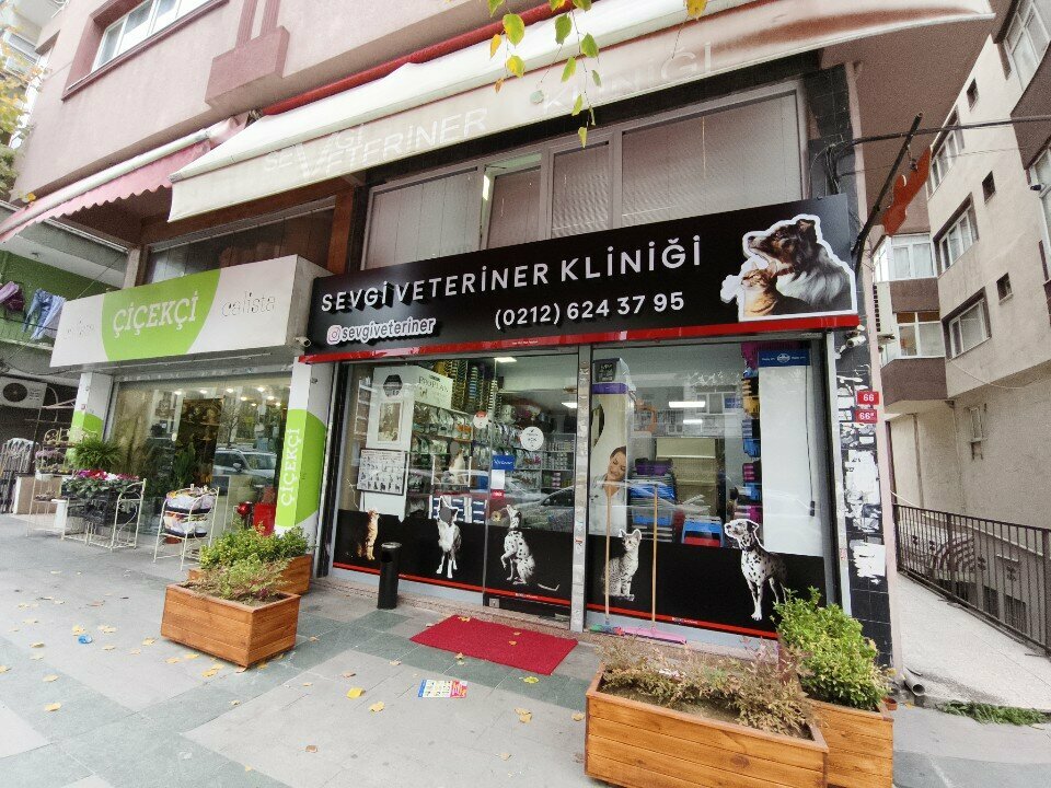 Çiçekçiler Calista Çiçekçi, İstanbul, foto