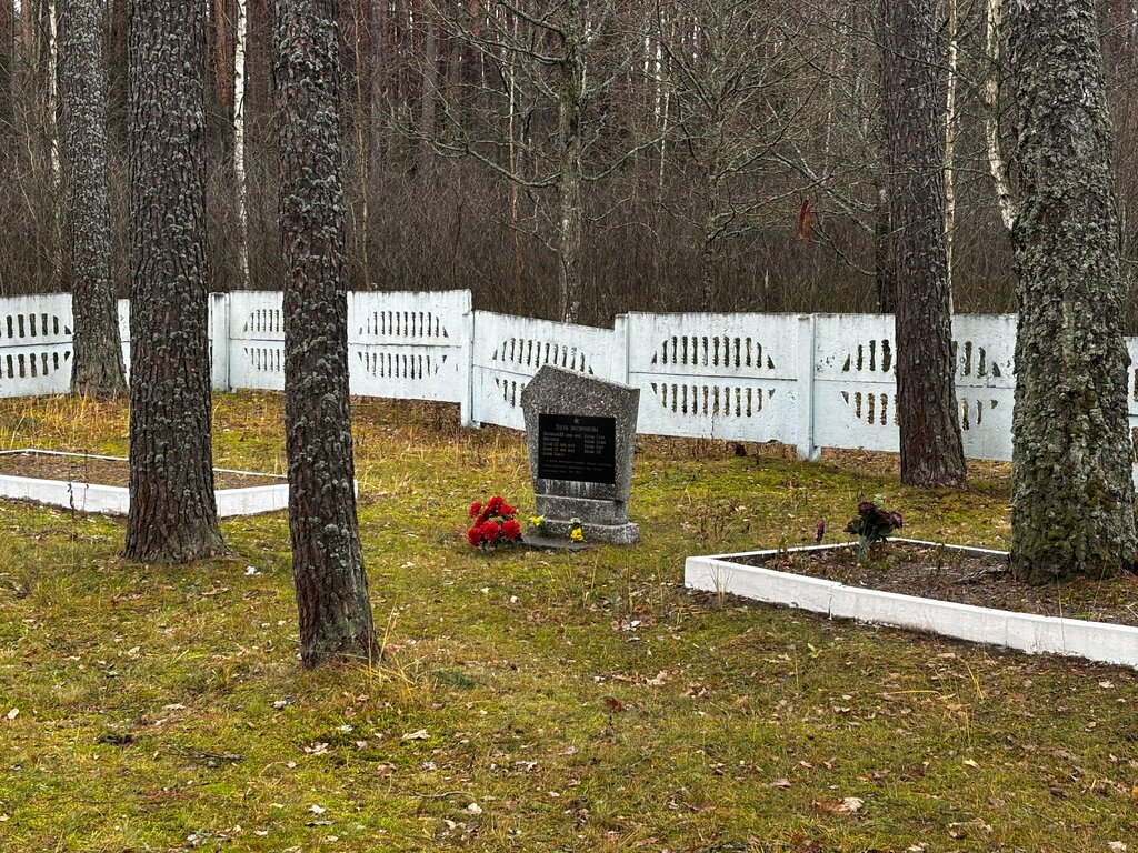 Anıt, heykel Мемориальный комплекс памятник евреям, расстрелянным во время ВОВ, Mogiliovskaya oblastı, foto