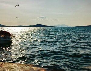 Atatürk Heykeli (Fevzipaşa-Vehbibey Mah., Atatürk Blv., Ayvalık, Balıkesir), park, sokak heykeli  Ayvalık'tan