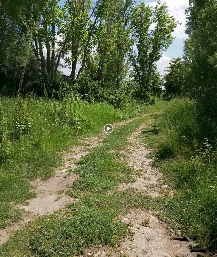 Muhtarlıklar Ağzıkara Köy Muhtarlığı, Şuhut, foto