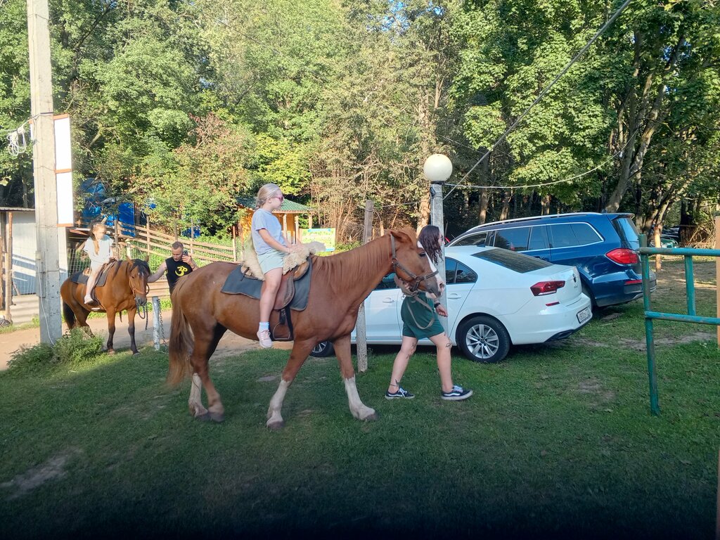 At ve binicilik kulüpleri Конный клуб, Moskova ve Moskovskaya oblastı, foto