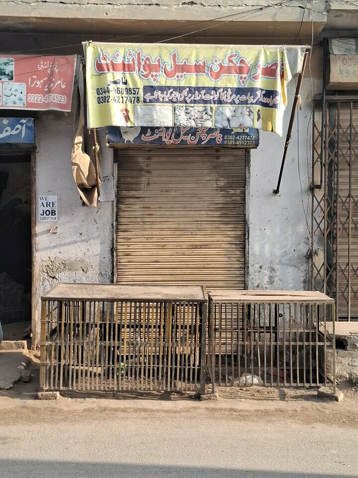 Kanatlı hayvan ürünleri ve yumurta Nasir Chicken sale point, Lahor, foto