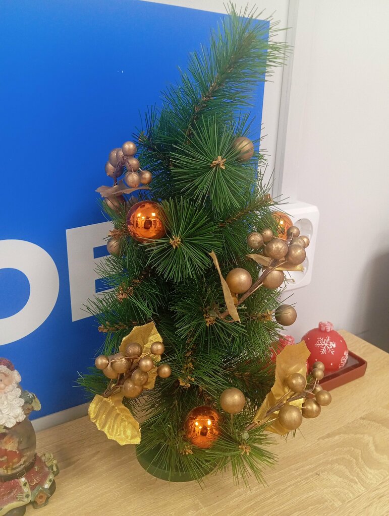 Teslimat noktası Ozon, Tolyatti (Togliatti), foto