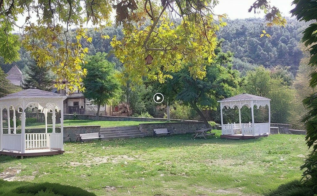 Turistik yerler Yedi Asırlık Çınar, Taraklı, foto
