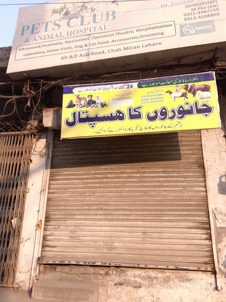 Veteriner klinikleri Pets club clinic and hospital, Lahor, foto