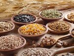 Aspire Foodstuff Trading (31/3, 4 Street, MW5, Mussafah, Abu Dhabi), toptan gıda mağazaları