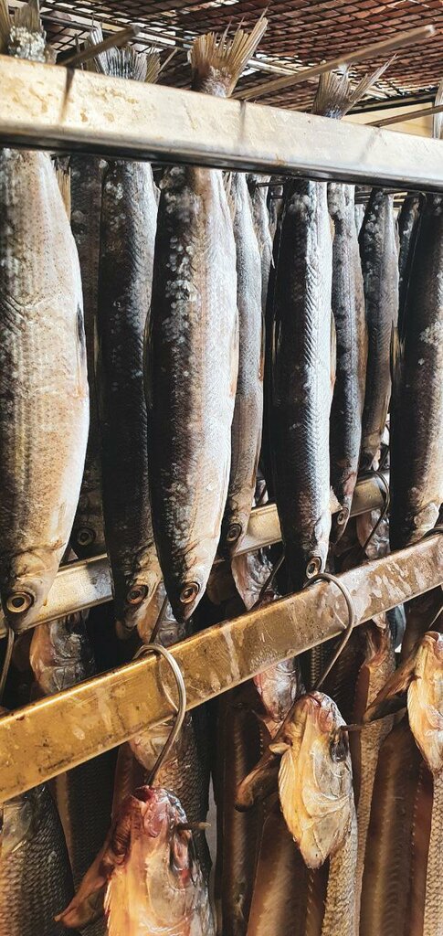 Balık ve deniz ürünleri Антур, Dudinka, foto