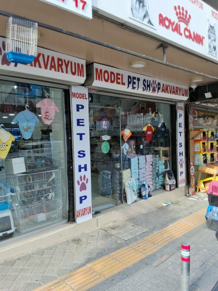 Petshop Model Akvaryum Petshop, İstanbul, foto