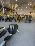 Body Strong (Kashkadarya Region, Shakhrisabz, Yashil Diyor mahalla fuqarolar yigʻini), spor ve jimnastik salonları  Şehrisebz'den