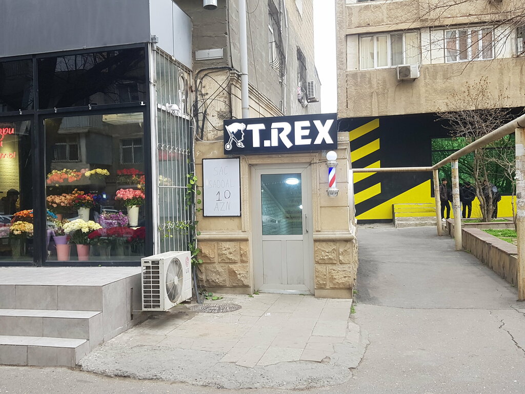 Berberler T. Rex, Bakü, foto
