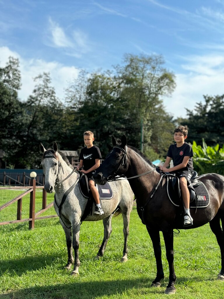 At ve binicilik kulüpleri Мажор, Soçi, foto