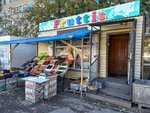 Fruttis (Áýelbekov kóshesi No:148), manavlar  Kökşetav'dan