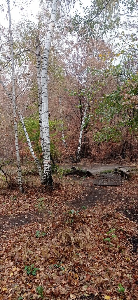 Pınar, çay Spring, stream, Rostovskaya oblastı, foto