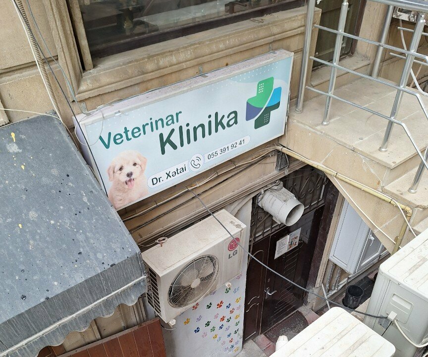 Veteriner klinikleri Veterinar Klinika, Bakü, foto