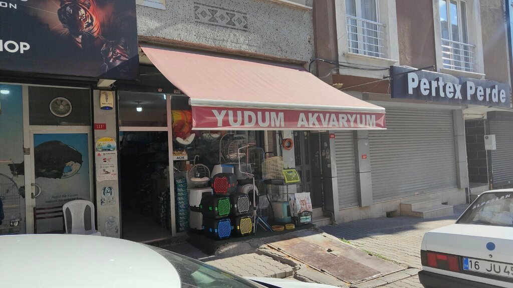 Petshop Yudum Akvaryum Esenyurt, İstanbul, foto