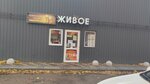 Пиво (Soborniy Lane No:87А), bira dükkanı  Rostov‑na‑Donu'dan