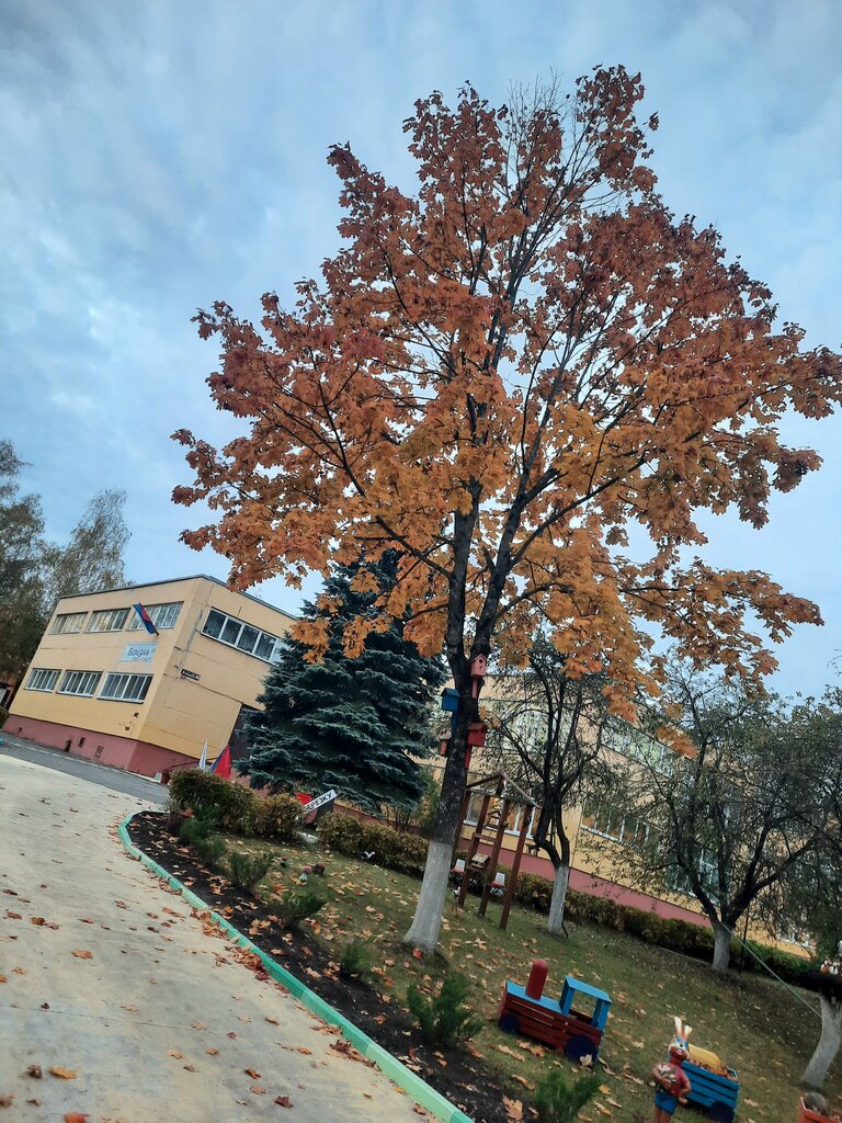 Anaokulları Spetsialnaya shkola-sad I-ii vida, Briansk, foto
